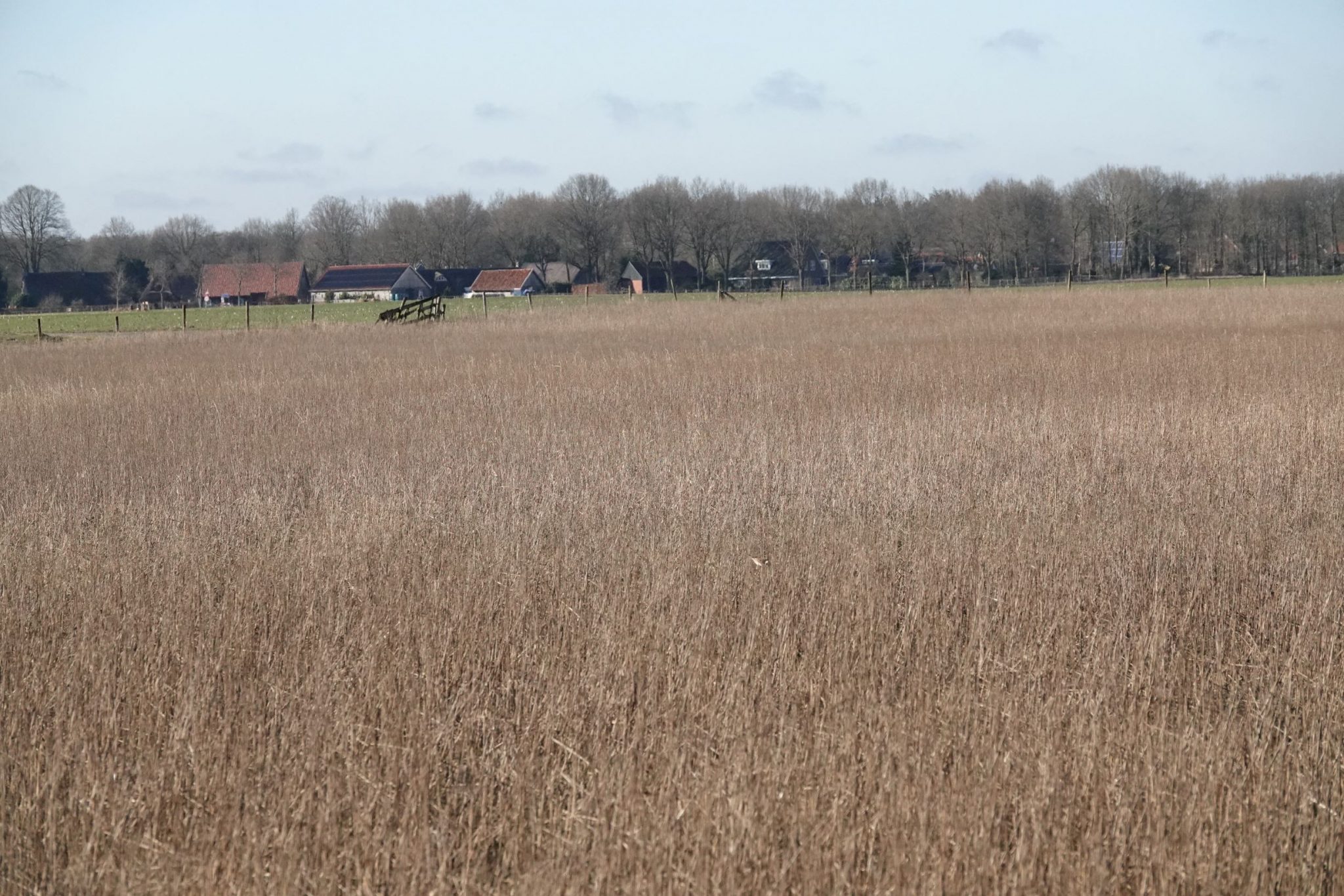 Potstal en (heide)plaggen - van mus tot gras